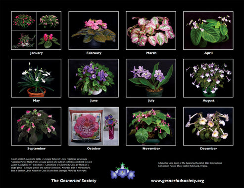 2025 Gesneriad Calendar – The Gesneriad Society Shop