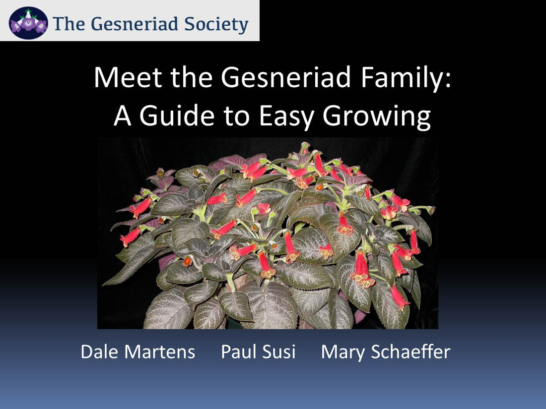 Webinar: Meet the Gesneriad Family - A Guide to Successful Growing ...